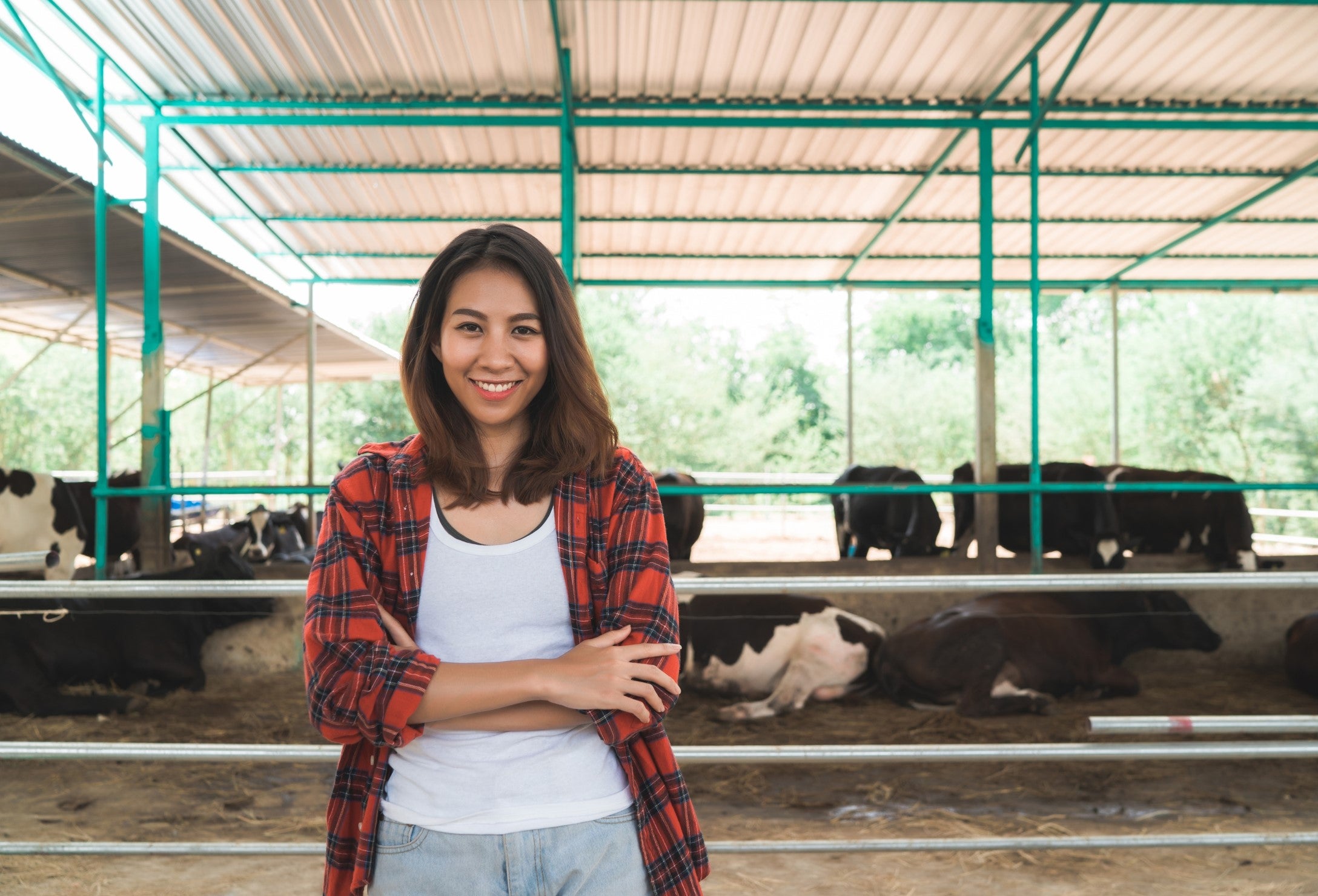 Services dédiés aux Ruminants