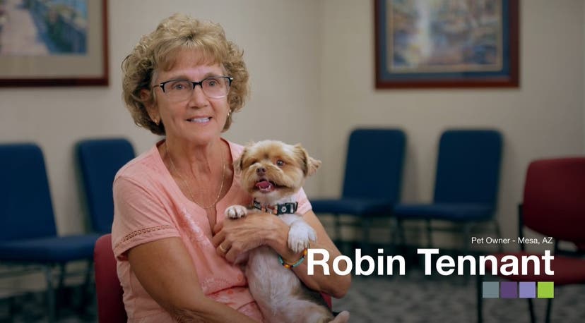 Zenrelia™ (ilunocitinib tablets) for Vets