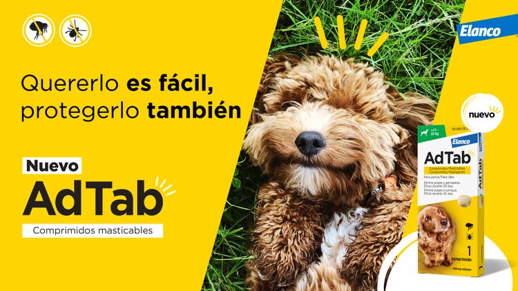 AdTab® perros