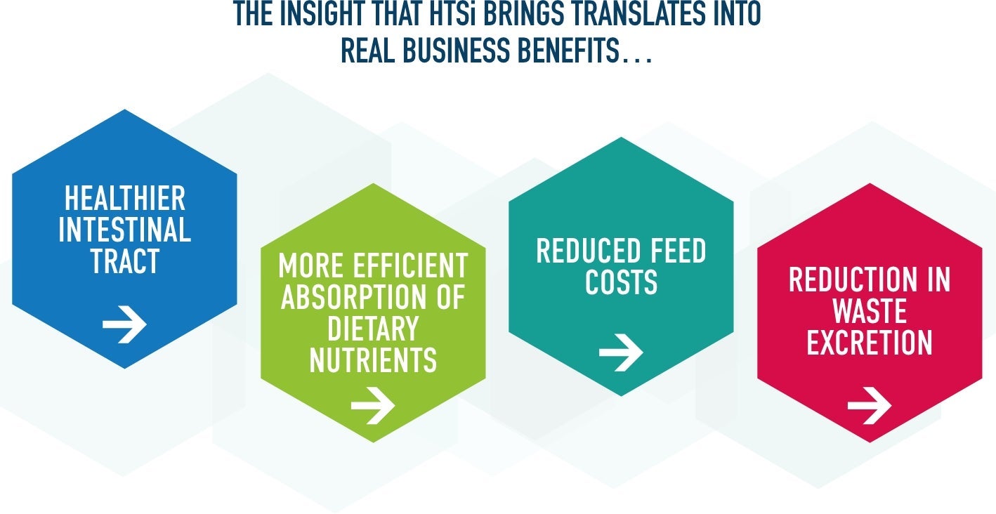 HTSi | Data led broiler benchmarking platform | Elanco