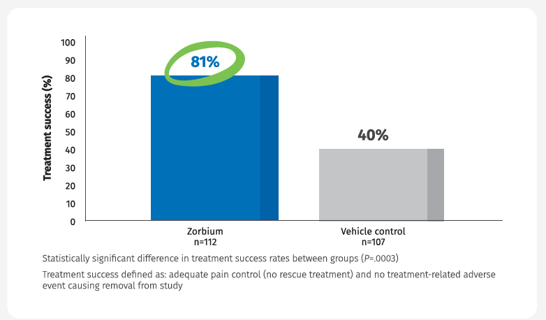 Zorbium™ (buprenorphine transdermal solution)