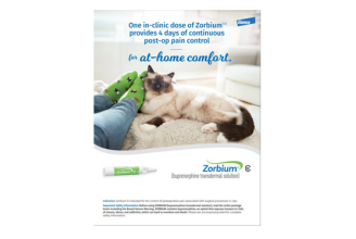 Zorbium® (Buprenorphine Transdermal Solution) for Cats