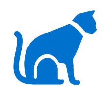 Atopica® for Cats | Control feline allergic dermatitis