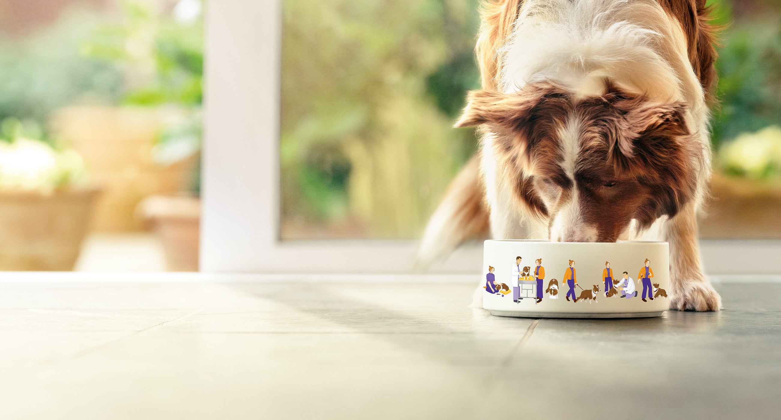 Entyce® (capromorelin oral solution)