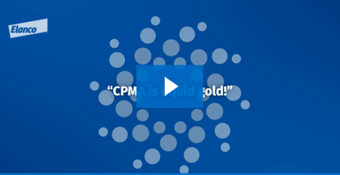 Canine Parvovirus Monoclonal Antibody