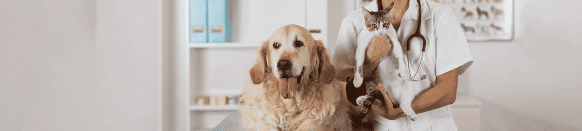 Home [my.elanco.com]