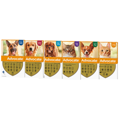 Advocate™ for protecting dogs against lungworm