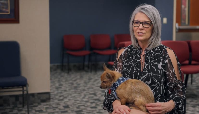 Zenrelia™ (ilunocitinib tablets) for Vets