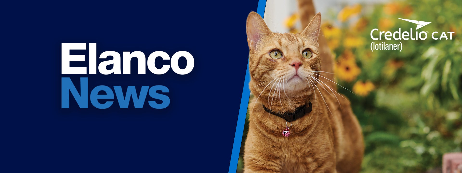 Credelio CAT Receives EUA for Treatment of New World Screwworm