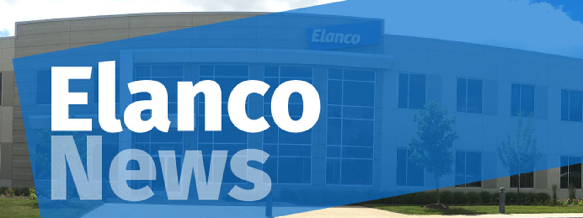 Elanco Joins Newly-Formed Consortium Advancing Climate-Neutral Cattle ...