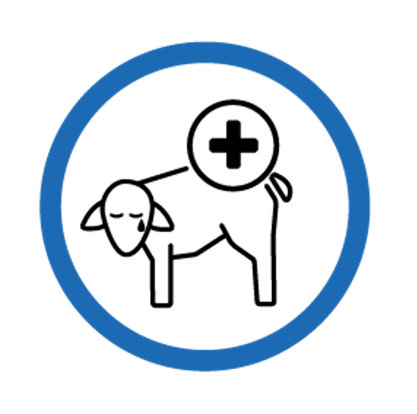 Flexidine™ Iodised Oil Injection