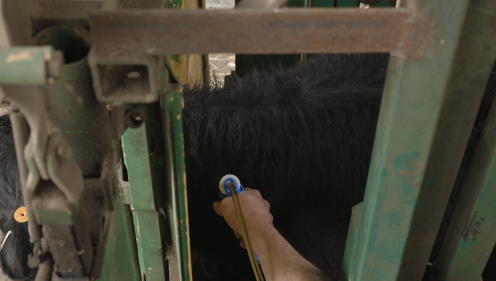 Training Center for Certification in Administering Micotil®