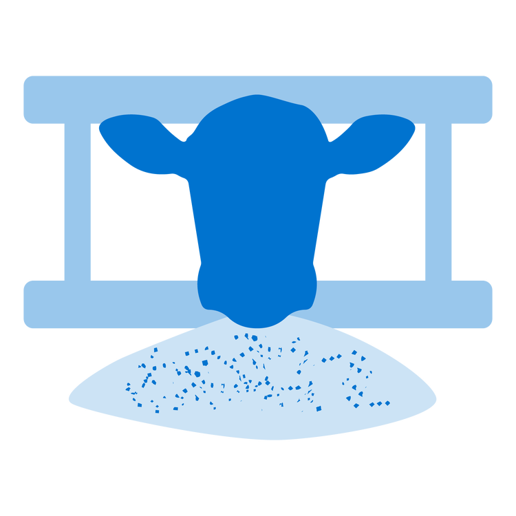 Elanco | Beef | Optaflexx