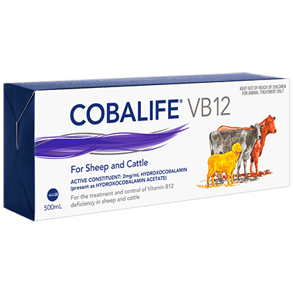 Cobalife™ VB12 Injection for Sheep and Cattle | Elanco