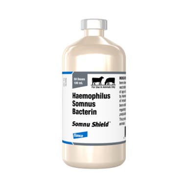 Elanco Cattle Vaccines | Help Keep Your Herds Healthy