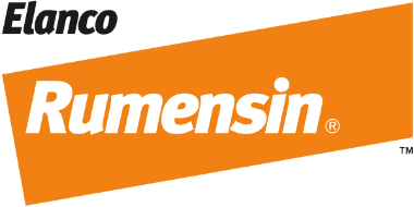 Products and services for healthy beef cattle | Elanco