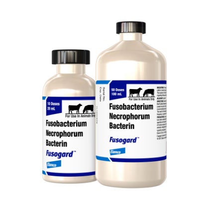 Elanco Cattle Vaccines | Help Keep Your Herds Healthy