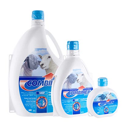 Combinex™ for Sheep for Liver Fluke & Worms in Sheep