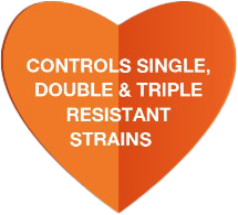 Zolvix Plus Challenge - Application Guide | Elanco