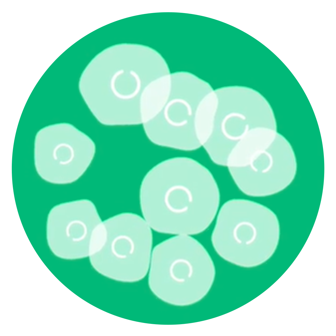 Pradalex (pradofloxacin injection) Beef Product Page