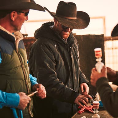 Products and services for healthy beef cattle | Elanco