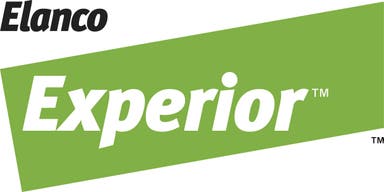 Products and services for healthy beef cattle | Elanco