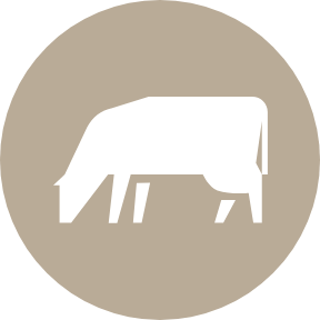 Master Guard | Combination Vaccine