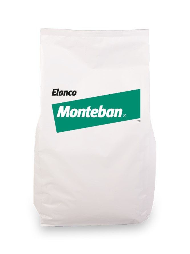 Premiks Monteban Elanco dla drobiu