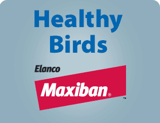 Sustainability | Elanco