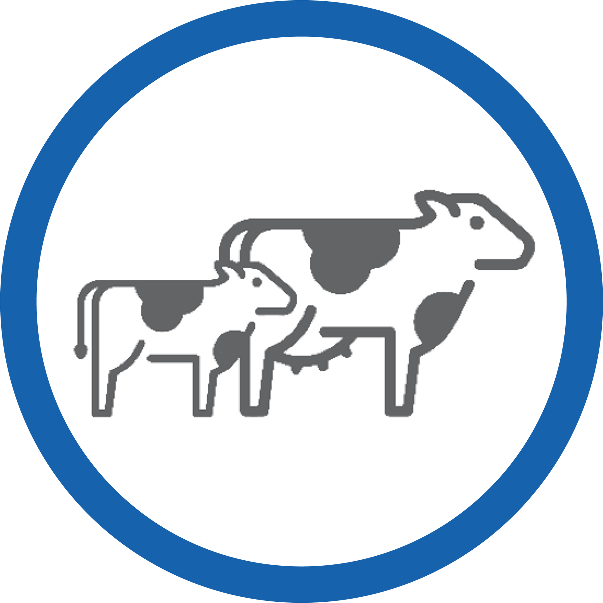 Calform™ PLUS