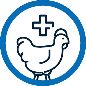 Larvadex™ 10% Feed Premix (with cyromazine) | Elanco