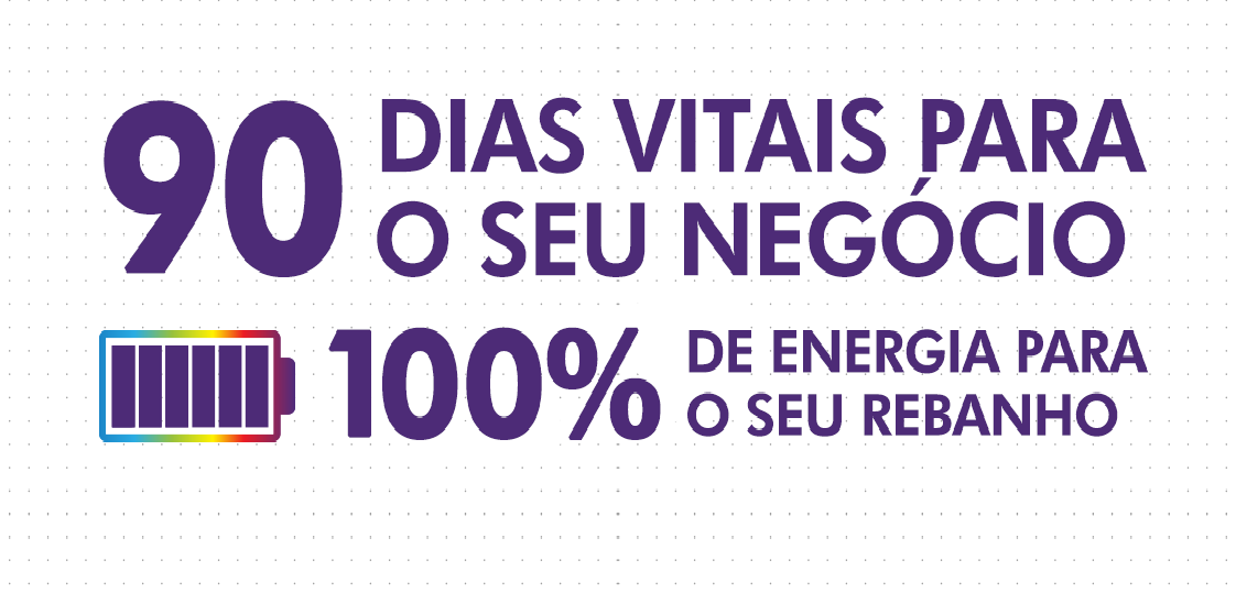 Elanco Brasil - Catosal™ B12