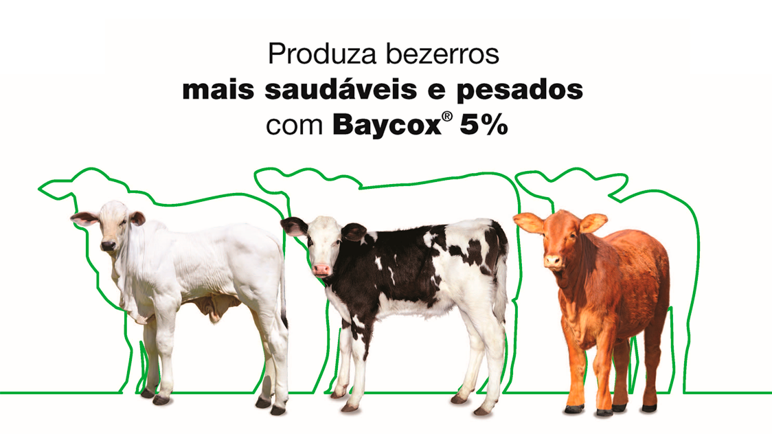 Elanco Brasil - Baycox® 5%