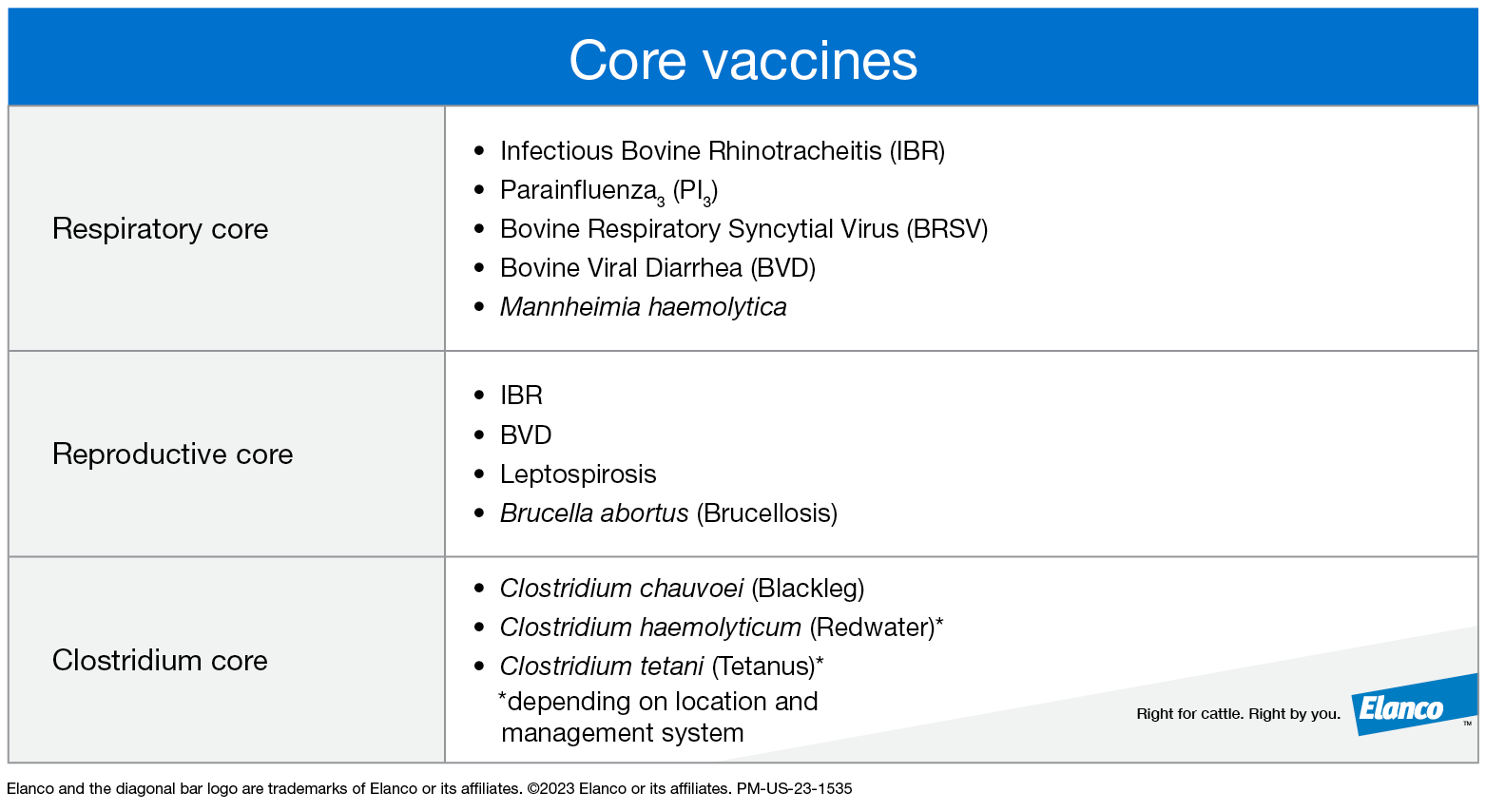 Considerations When Building Your Cattle Vaccination Program