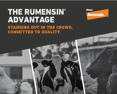 Rumensin | Feedyard