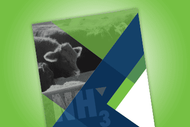 Elanco | Beef | Experior