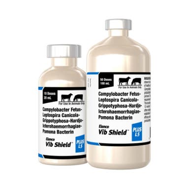 Elanco Cattle Vaccines | Help Keep Your Herds Healthy