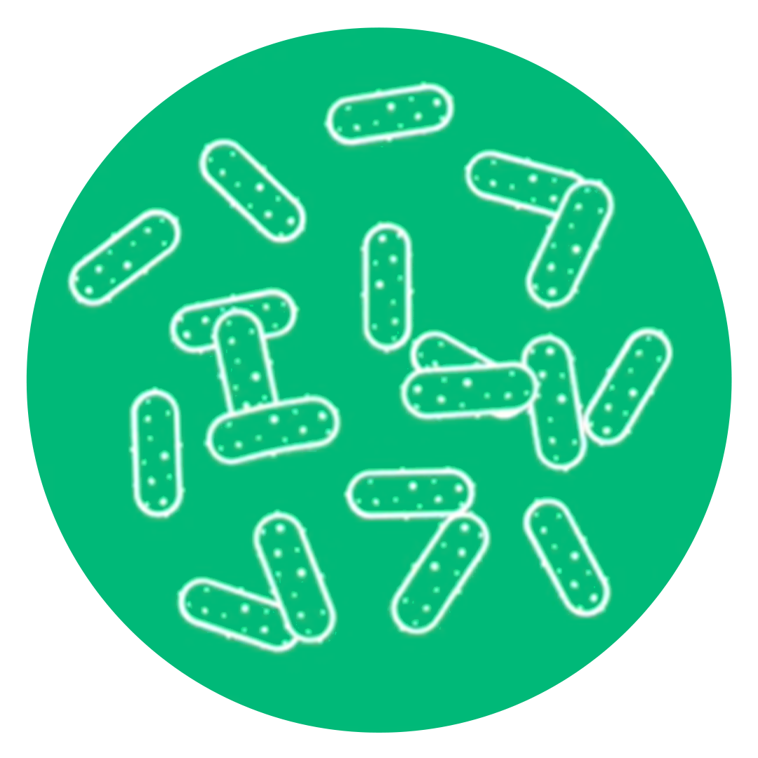 Pradalex (pradofloxacin injection) Beef Product Page