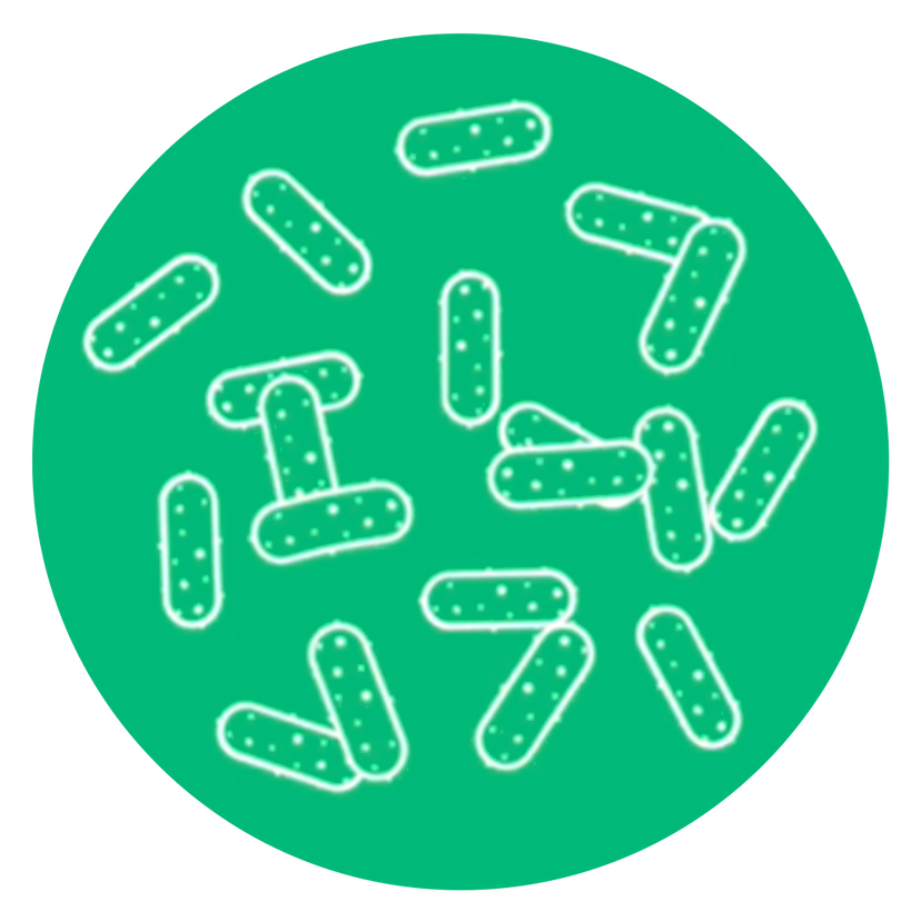 Pradalex (pradofloxacin injection) Beef Product Page