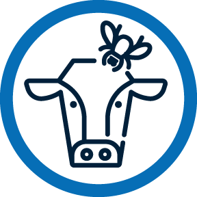 Cylence™ Ultra Ear Tags for Cattle | Elanco