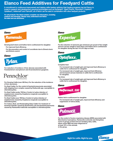 Elanco | Beef | Experior®