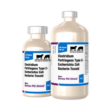 Elanco Cattle Vaccines | Help Keep Your Herds Healthy