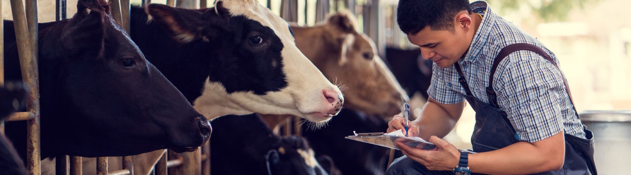 Products and Resources for Healthy Animals | Elanco