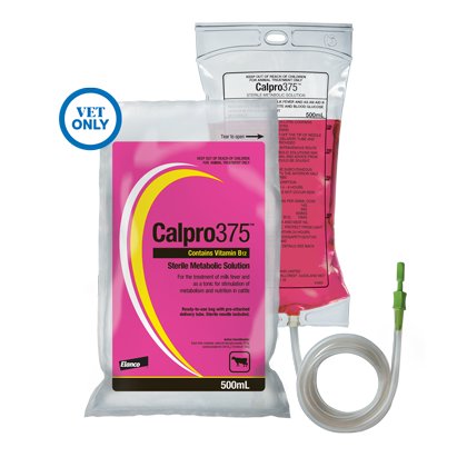 Calpro™ 375 Milk Fever Treatment for Cattle | Elanco Farm Animal NZ