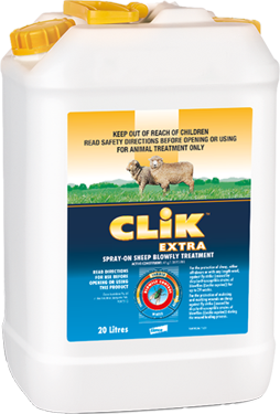 Blowfly Treatment for Sheep | Elanco CLiK™