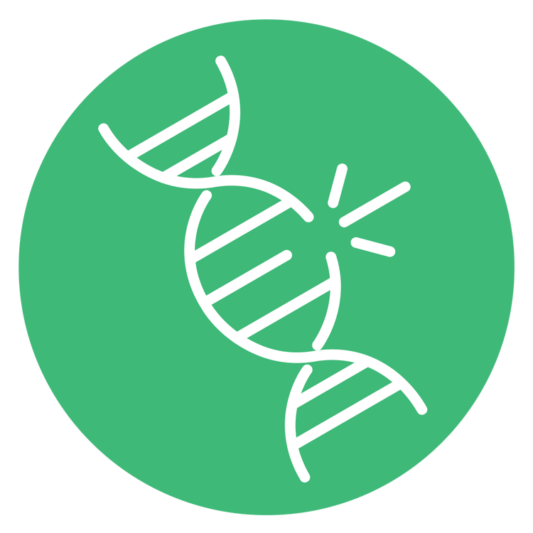 Pradalex (pradofloxacin injection) Beef Product Page