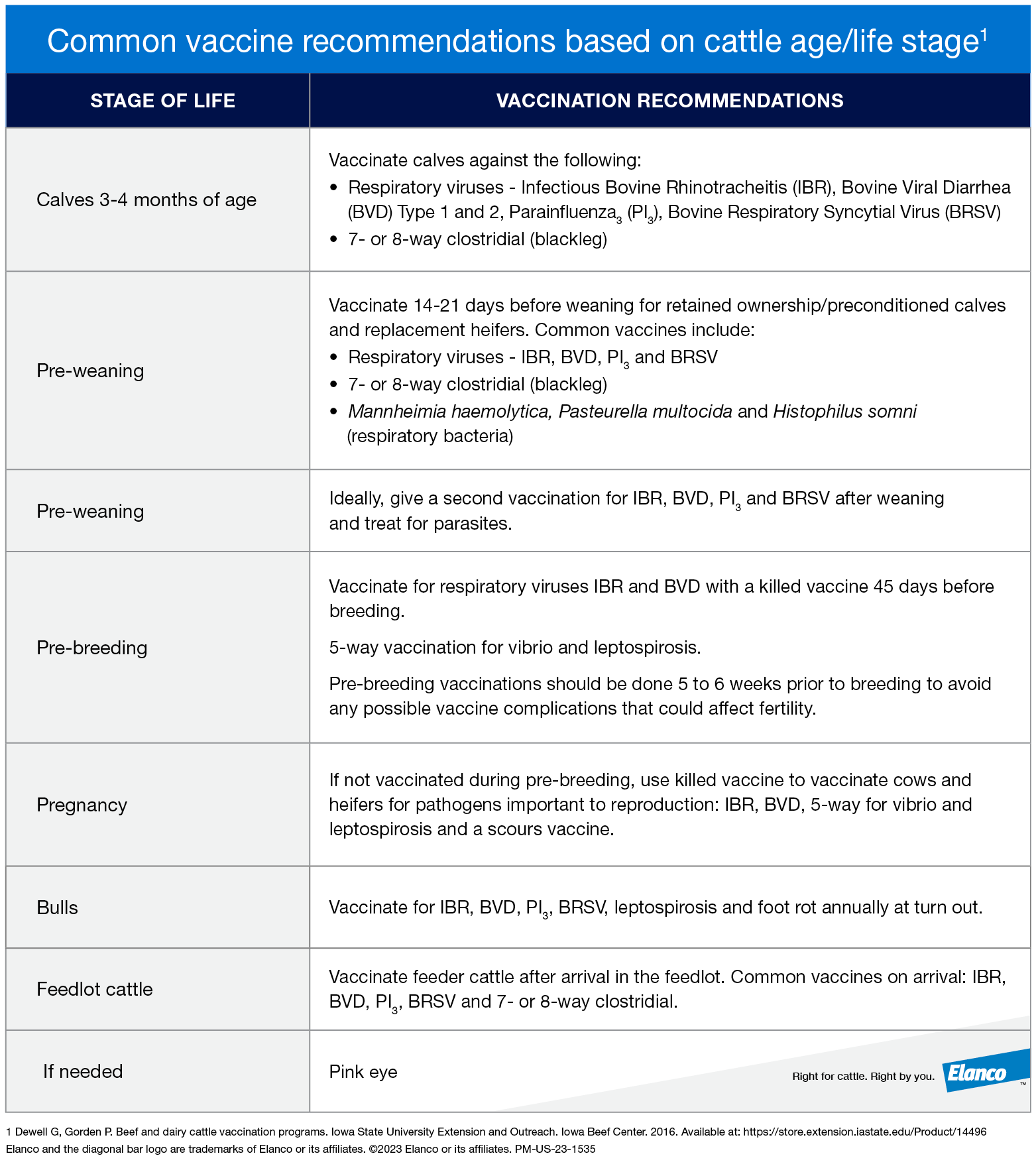 Considerations When Building Your Cattle Vaccination Program