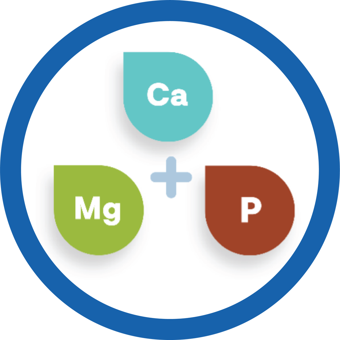 Calform™ Phosphorus