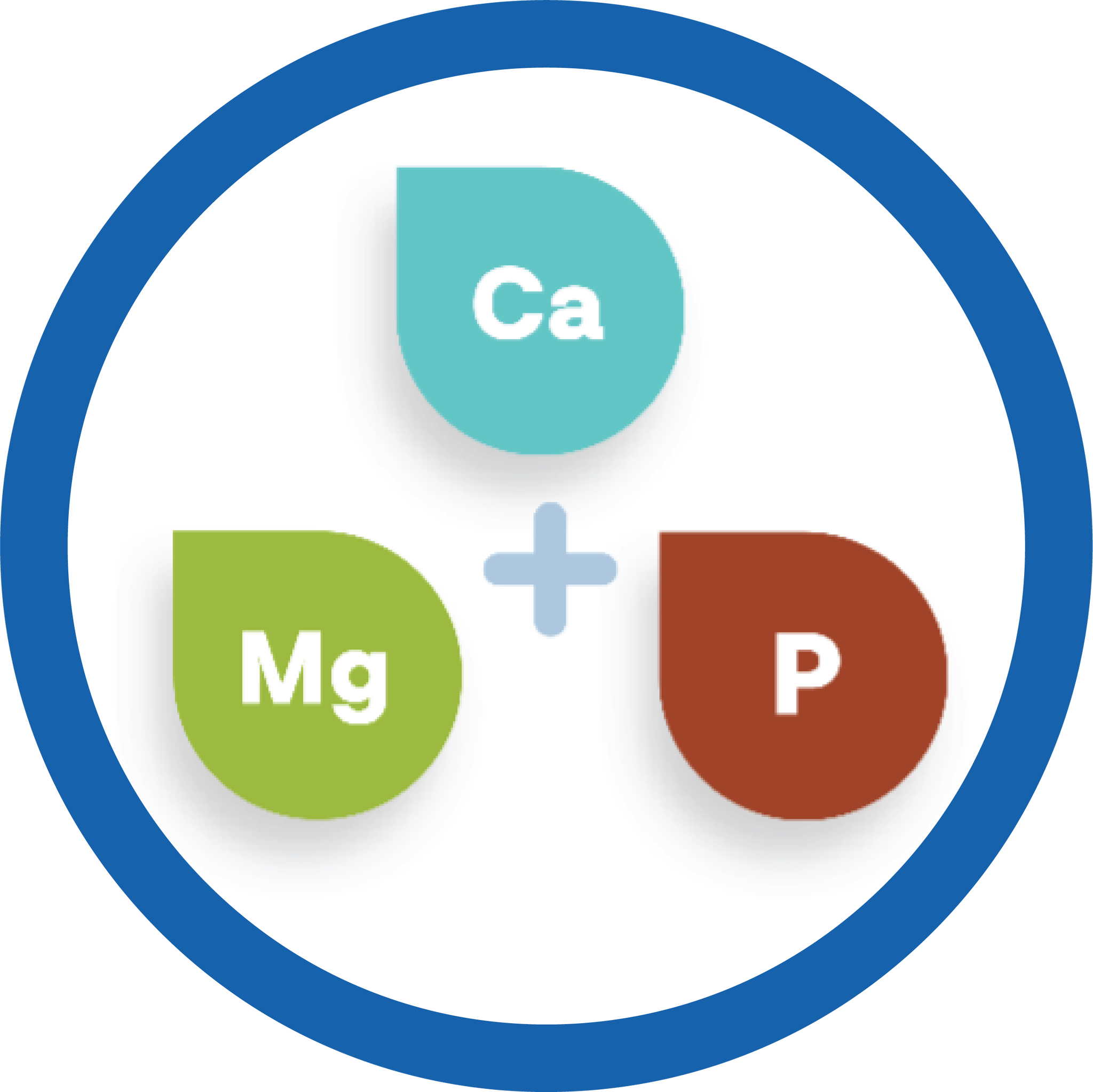 Calform™ Phosphorus
