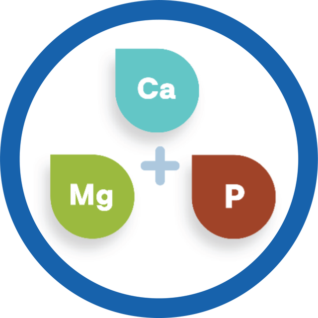 Calform™ Phosphorus
